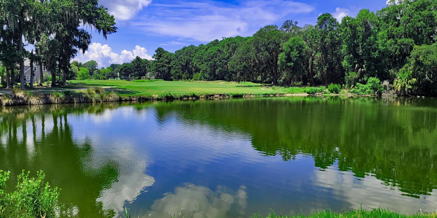 Cat Island Club By David Theoret