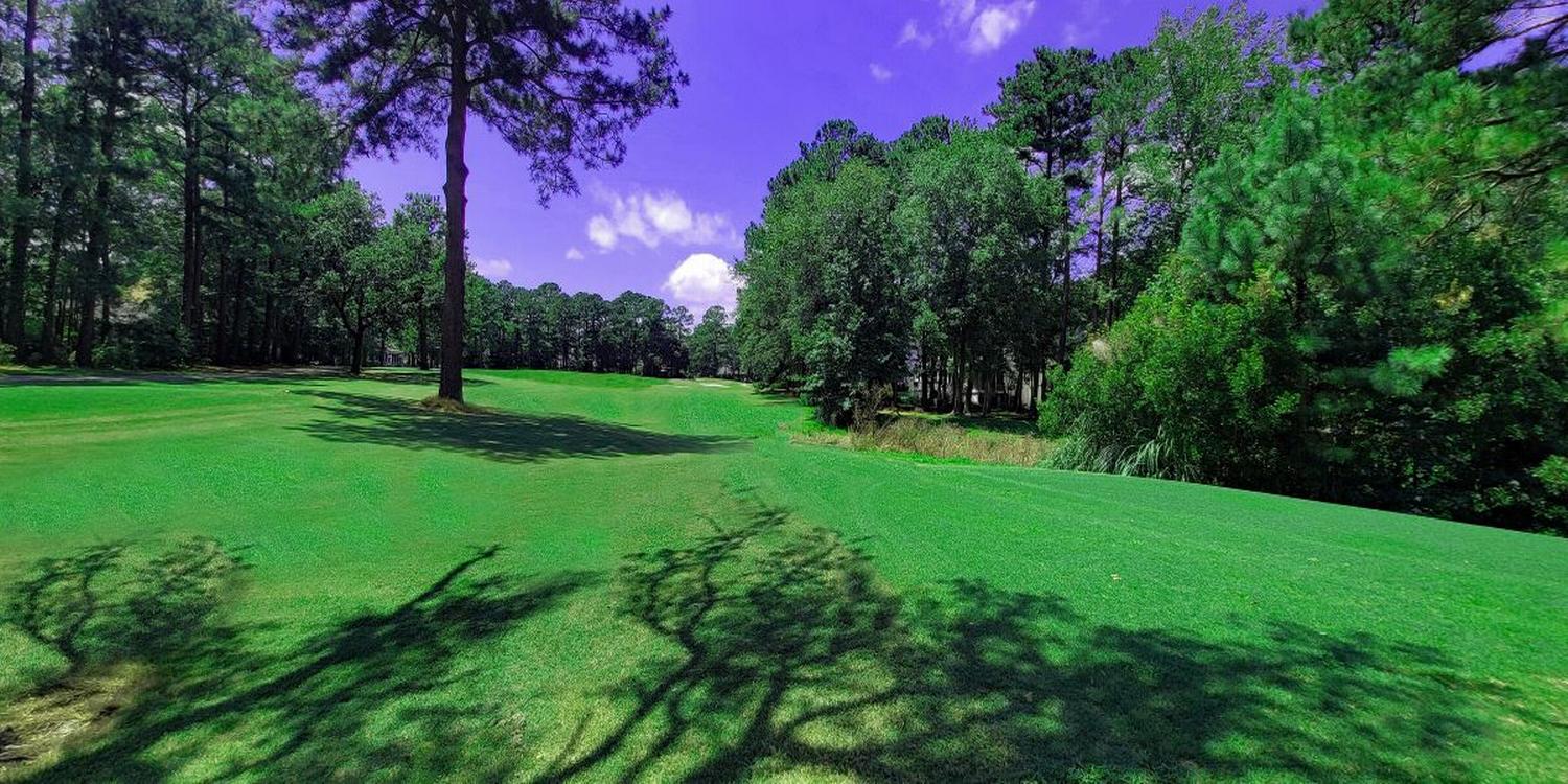 Legend Oaks Golf Club in Summerville, SC By David Theoret